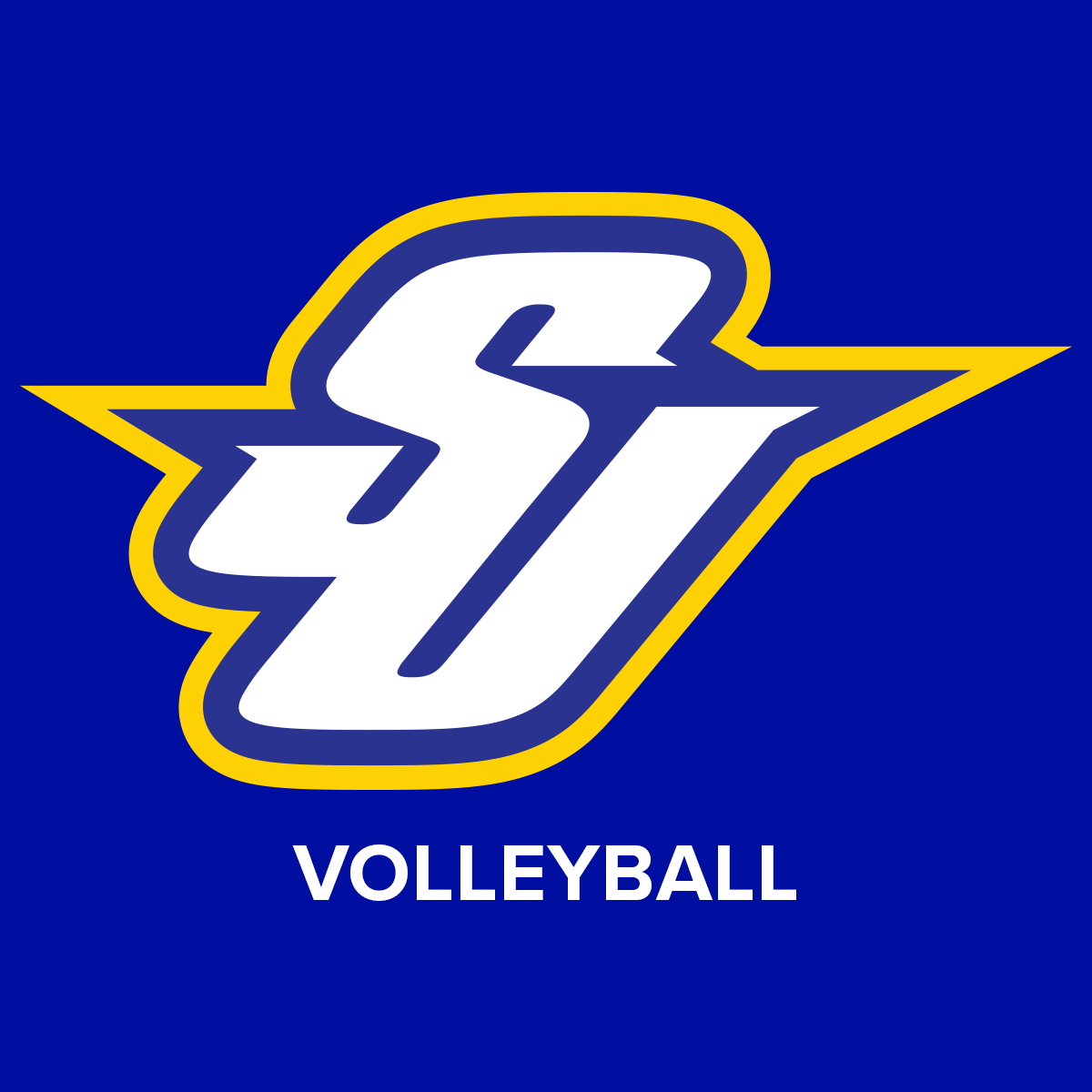 Support Spalding Vollleyball